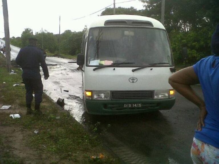 Mini-bus - Guyana Graphic - Current & Historical Events & Figures