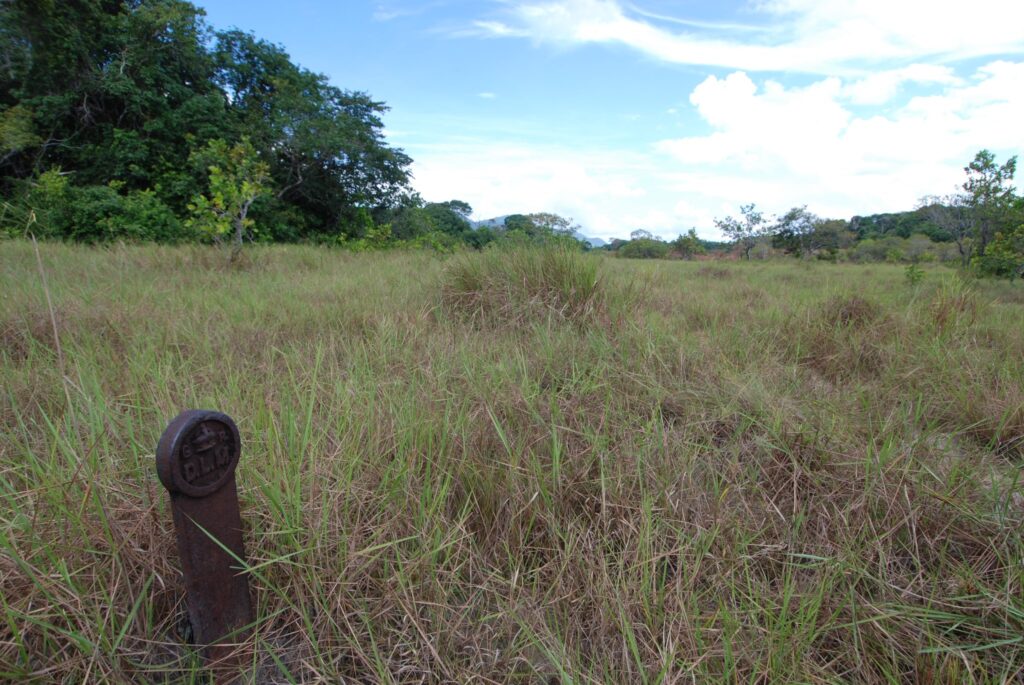 Rupununi Cattle Trail - Guyana Graphic - Current & Historical Events ...
